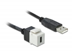 Delock Keystone Module USB 2.0 C female > USB 2.0 A male with cable ...