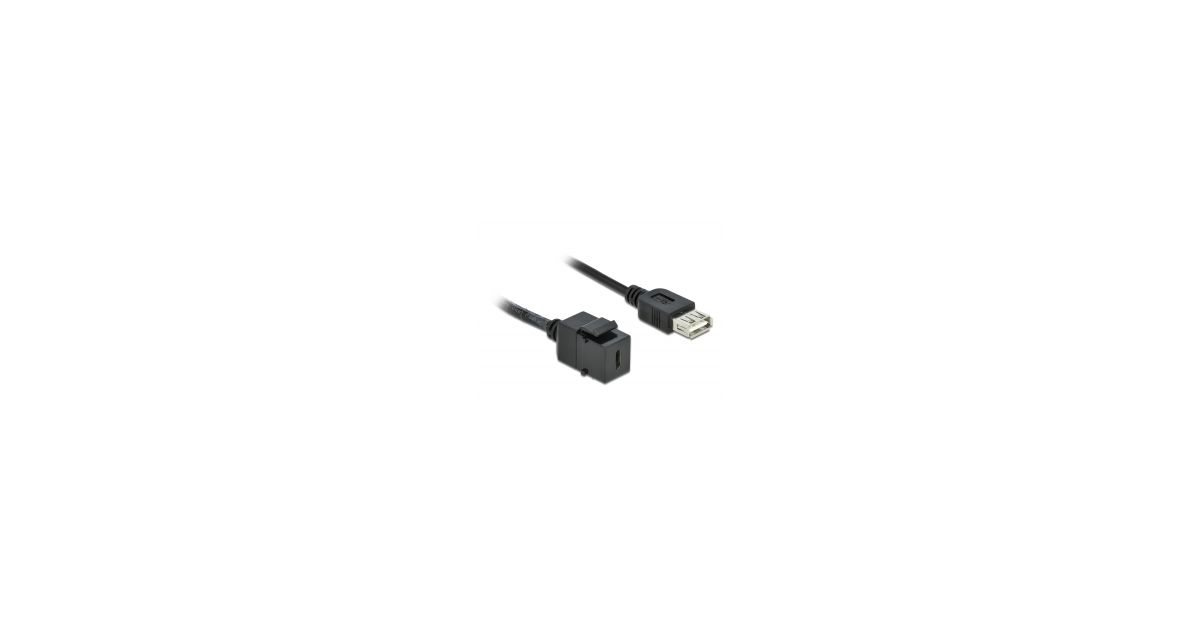 Delock Keystone Module USB 2.0 C female > USB 2.0 A female with cable ...
